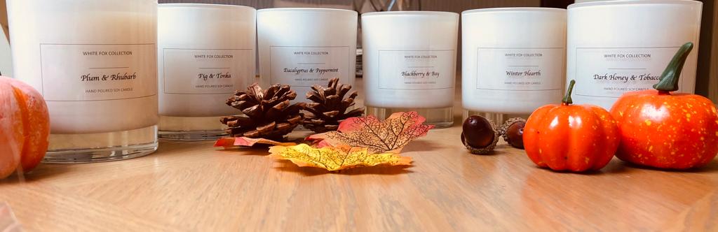 White Fox Collection – White Fox Collection